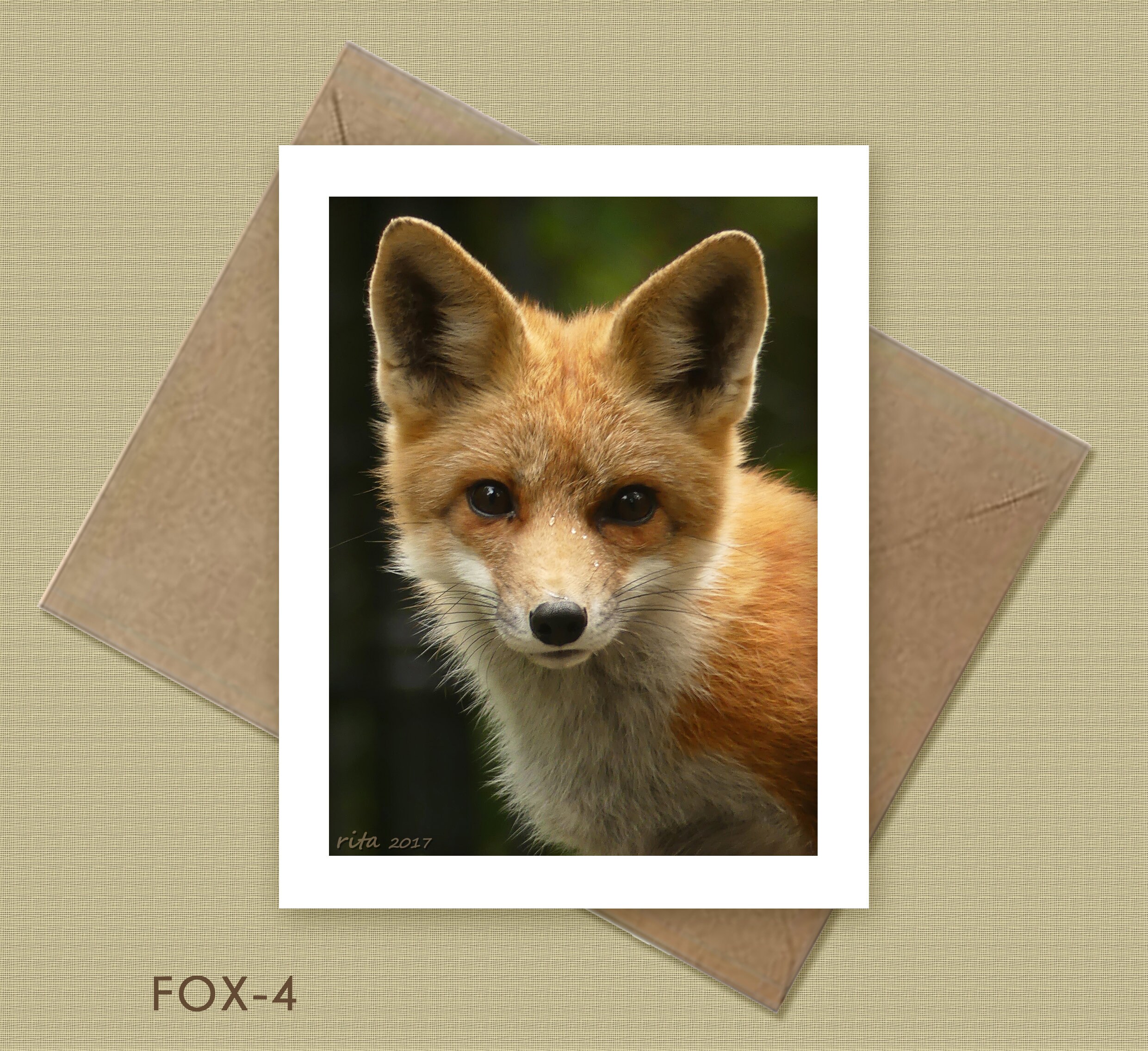 Red Fox Note Cards - Choose 1, 2, 3, or All 4 - Etsy