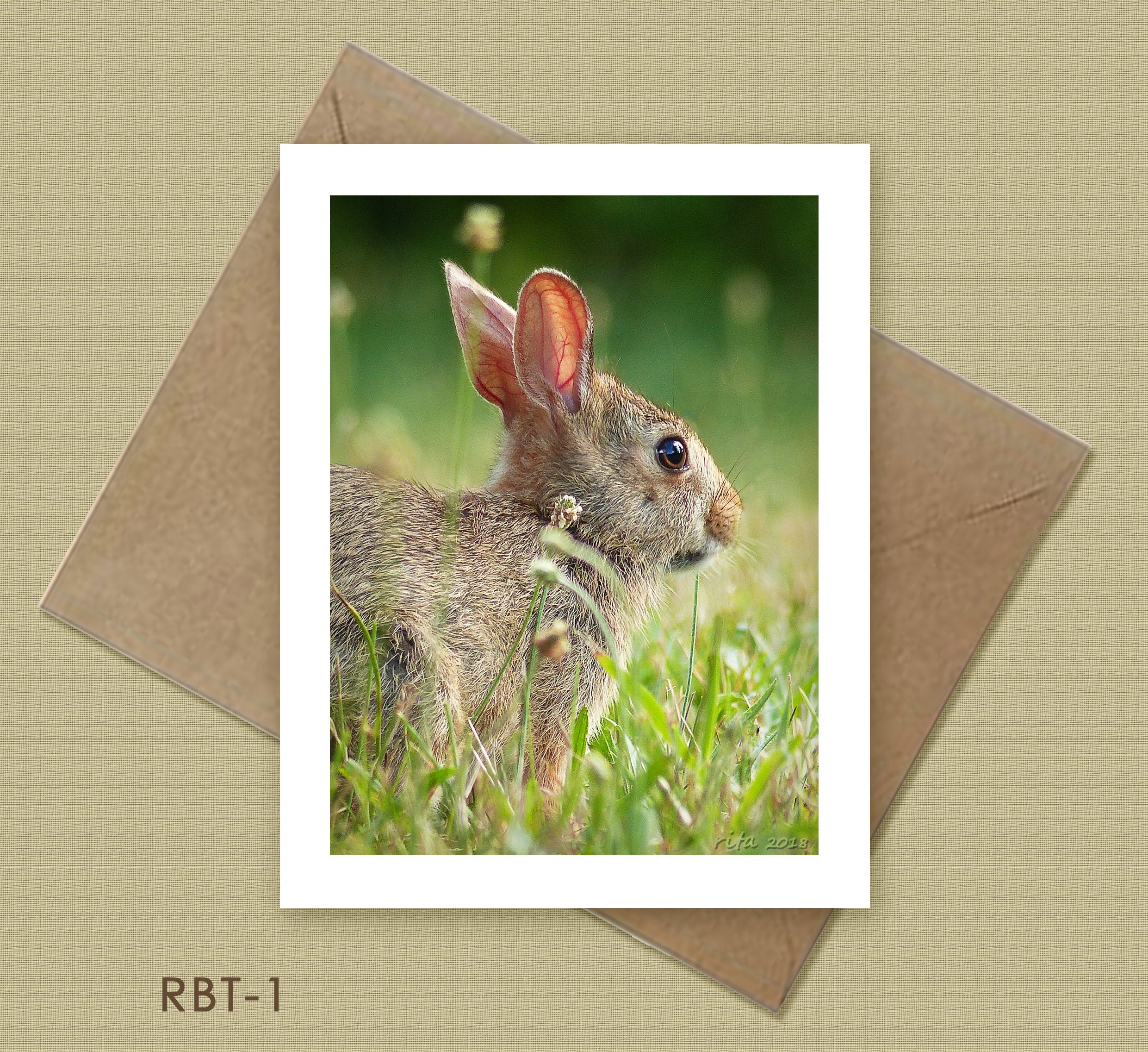 Rabbit Note Cards Choose 1, 2, 3, or All 4 - Etsy