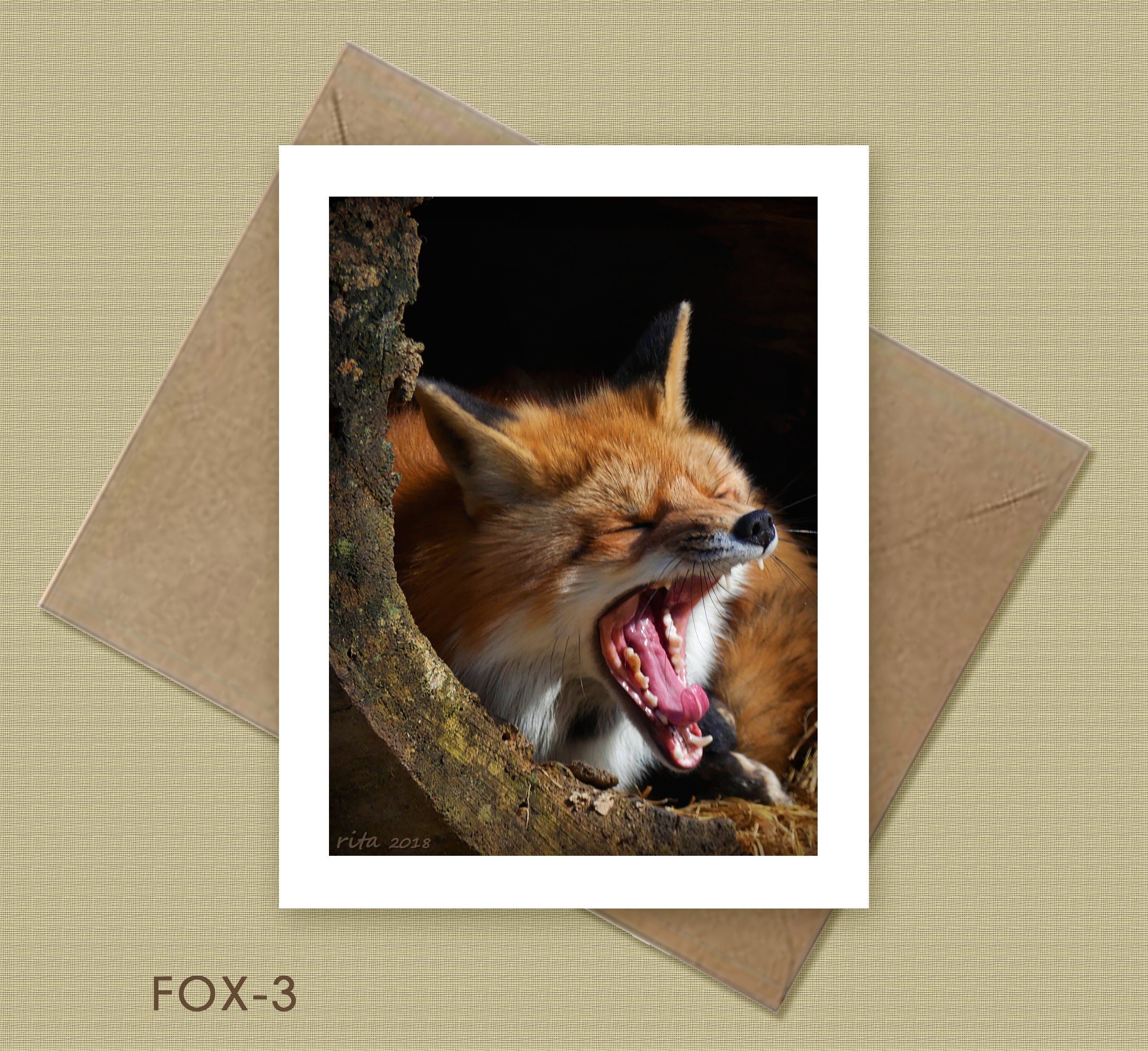 Red Fox Note Cards - Choose 1, 2, 3, or All 4 - Etsy