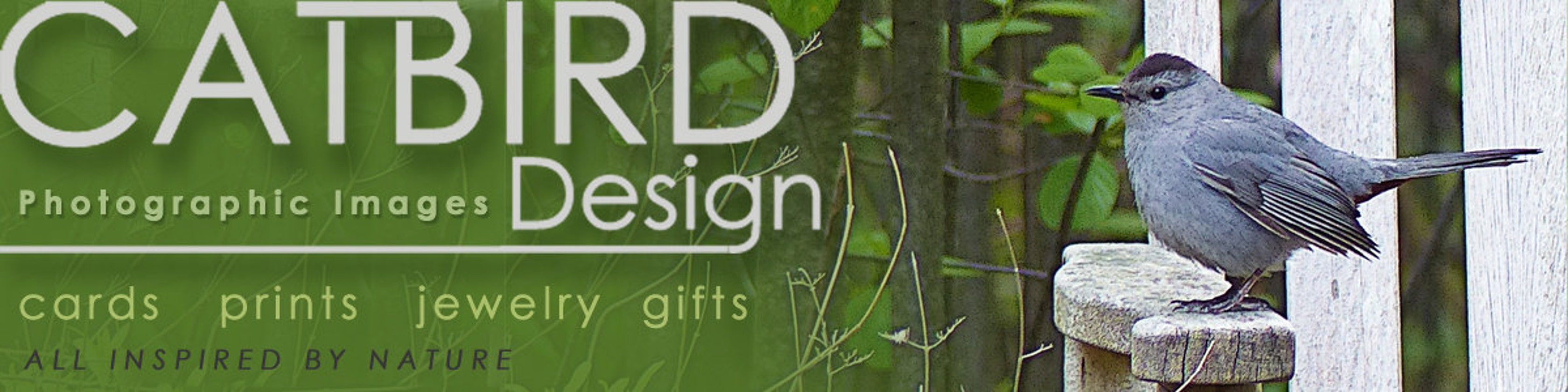 CatbirdDesign2015 - Etsy