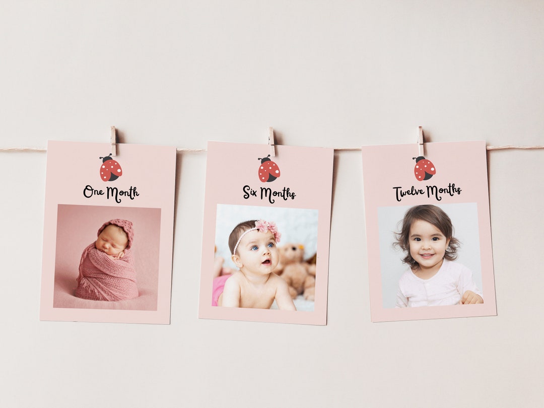 Ladybug Month to Month Banner, Lady Bug Photo Banner, Little Lady ...