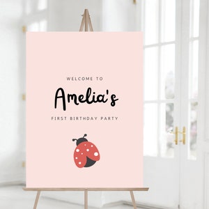 Ladybug Birthday Bundle, Lady Bug Birthday Party, Little Lady Birthday ...