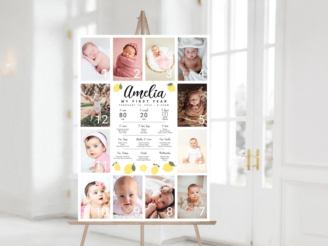 Lemon Birthday Photo Milestone Sign, Lemonade Birthday Decorations ...