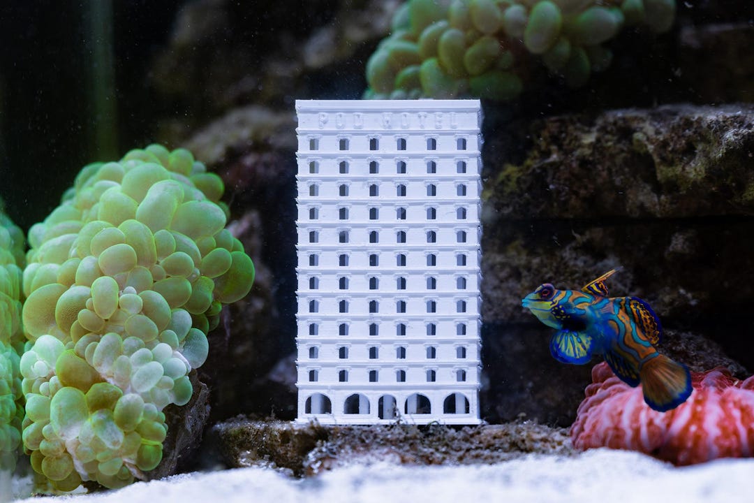 Pod Hotel - 3D Printed Copepod Breeder Factory for Saltwater Reef Tank ...