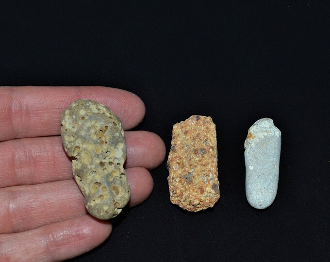 Set of 3 Finger Rocks With Fossil and Holes,long Rocks,skinny Rocks ...