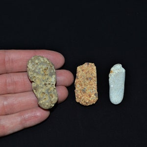 Set of 3 Finger Rocks With Fossil and Holeslong Rocksskinny - Etsy