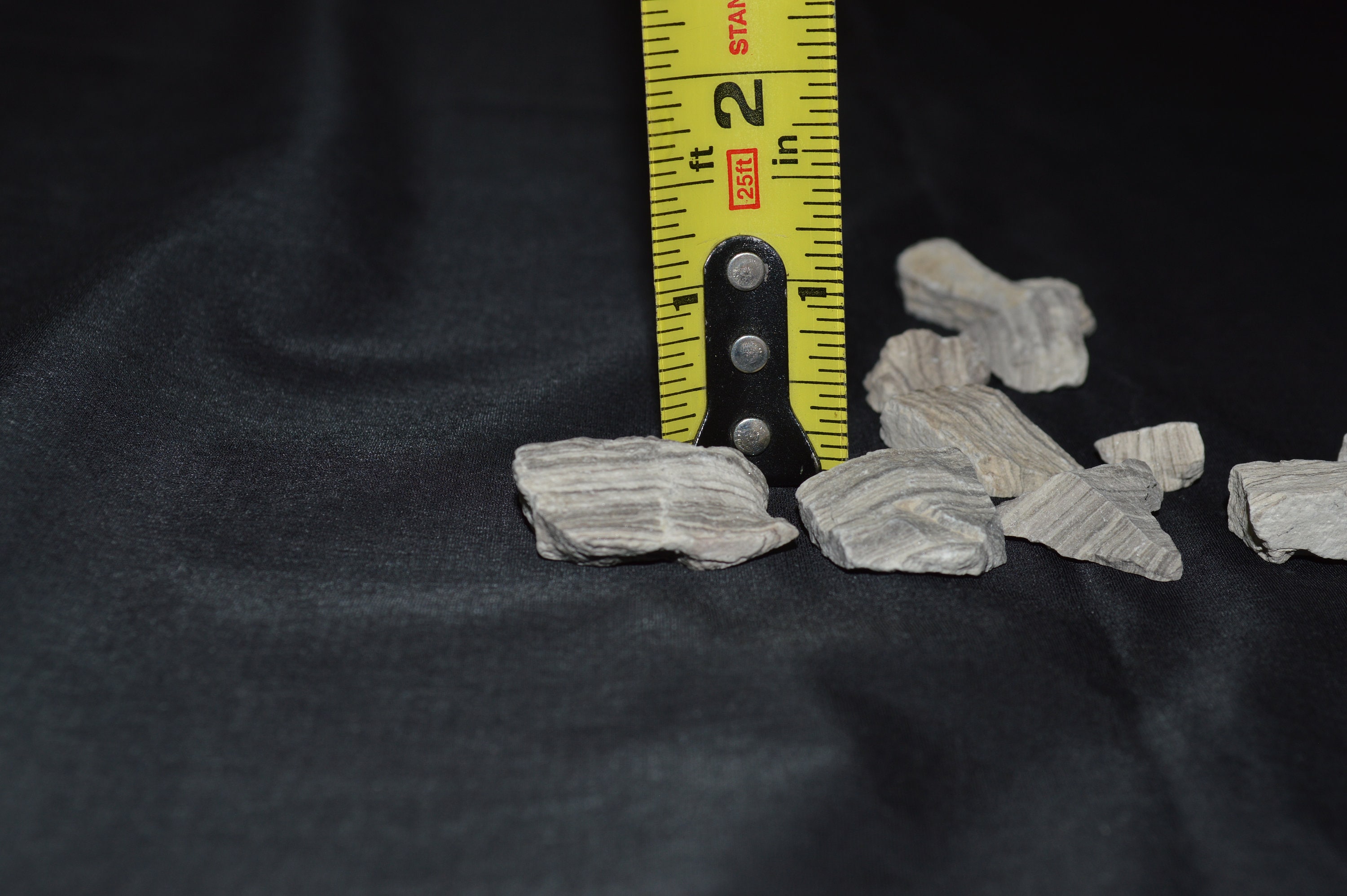 Collection of SMALL Layered Limestone Rocks, Layered Rocks, Under 1 1/4 ...