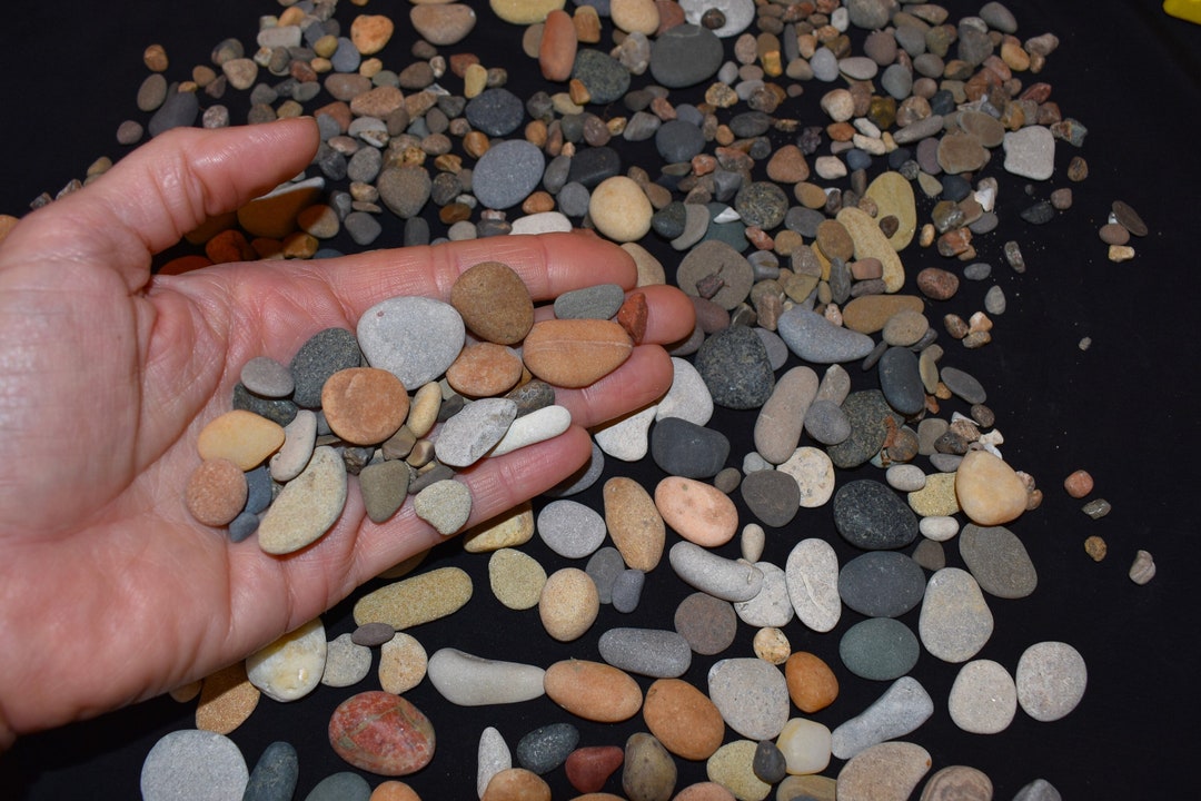 1-1/2 Pound SMALL Flat Craft Rocks With Gravel, Pebble Art Rocks, Lot ...