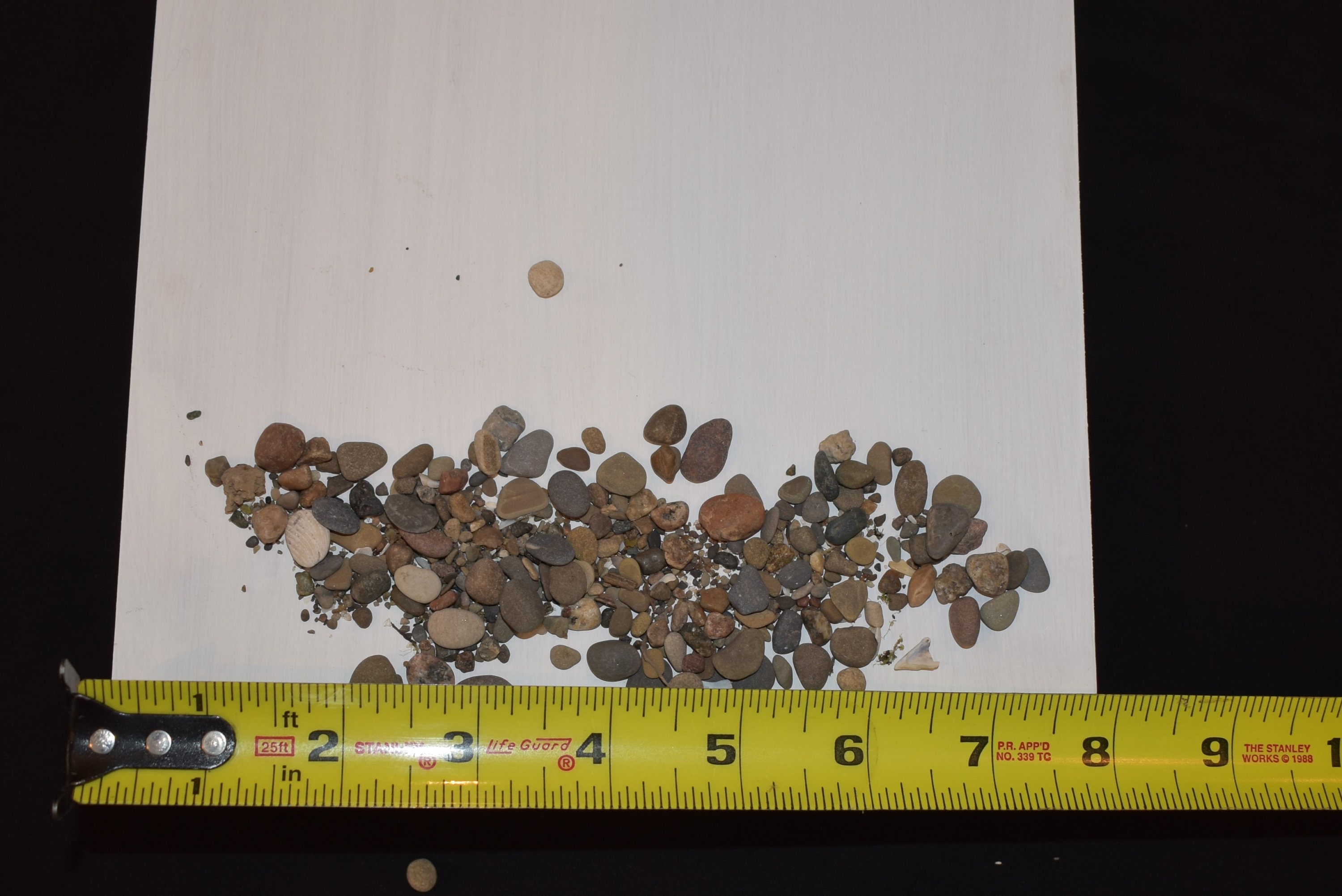 6 Oz Beach Gravel With Sand, Pulverized Shells - Etsy