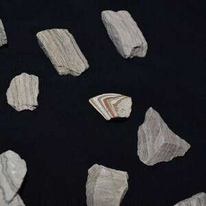 Collection of SMALL Layered Limestone Rocks, Layered Rocks, Under 1 1/4 ...