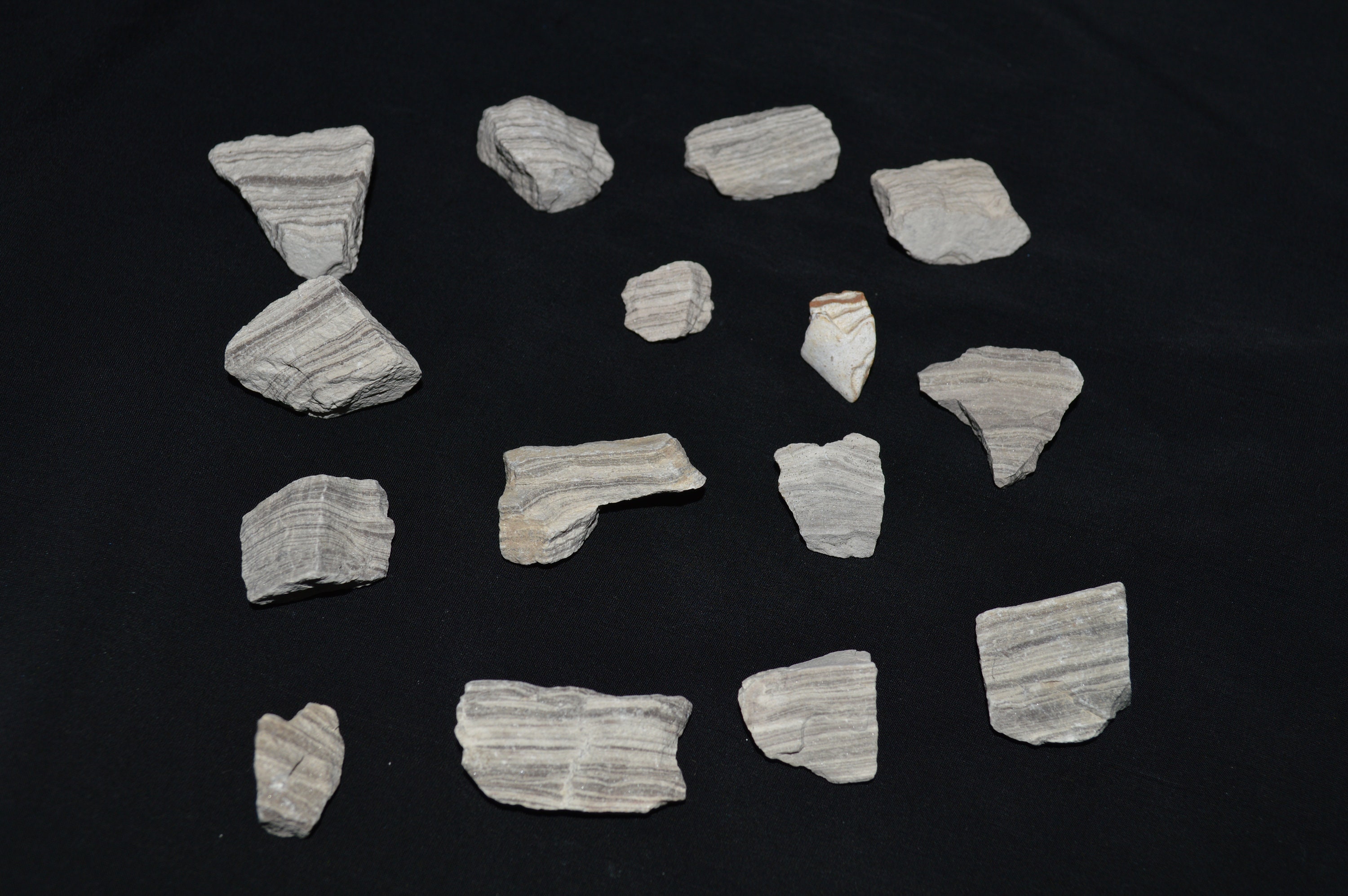 Collection of SMALL Layered Limestone Rocks, Layered Rocks, Under 1 1/4 ...