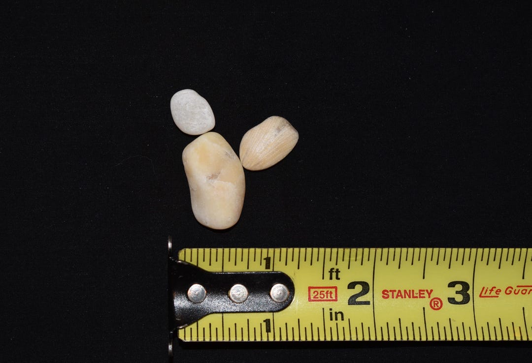 Pebble Angel With Fossil wing, Rock Angel With Real Horn Coral Fossil ...