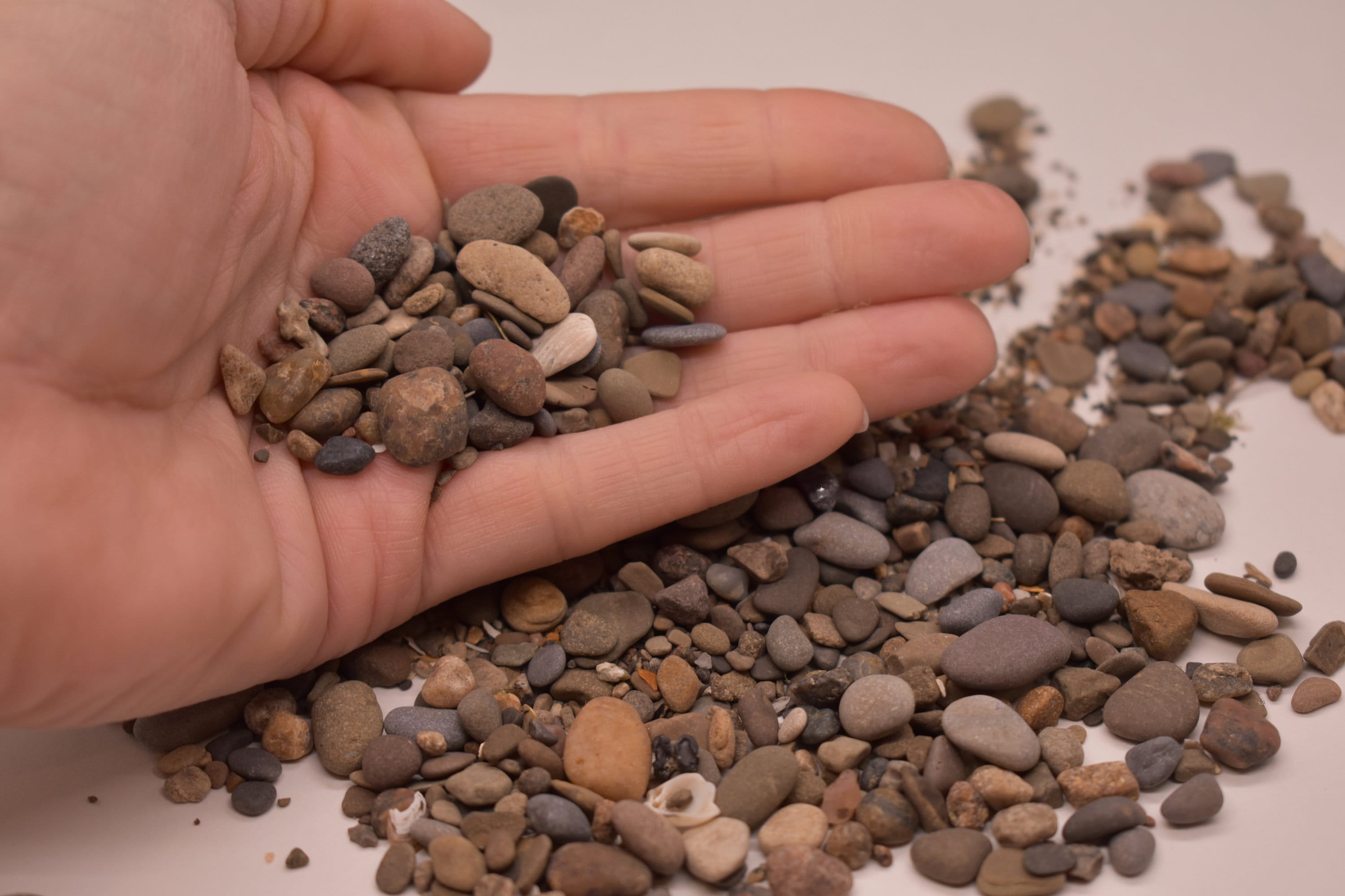 6 Oz Beach Gravel With Sand, Pulverized Shells - Etsy