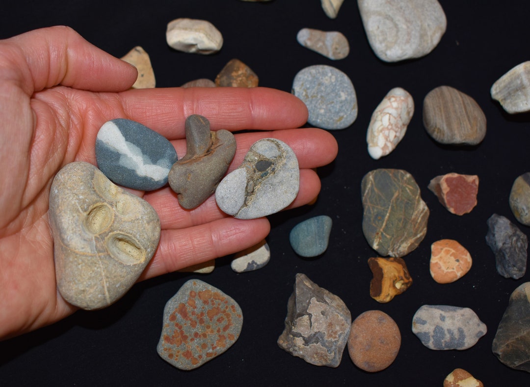1 Pound Unusual Rocks, Pebble Art, Crafting Stones - Etsy