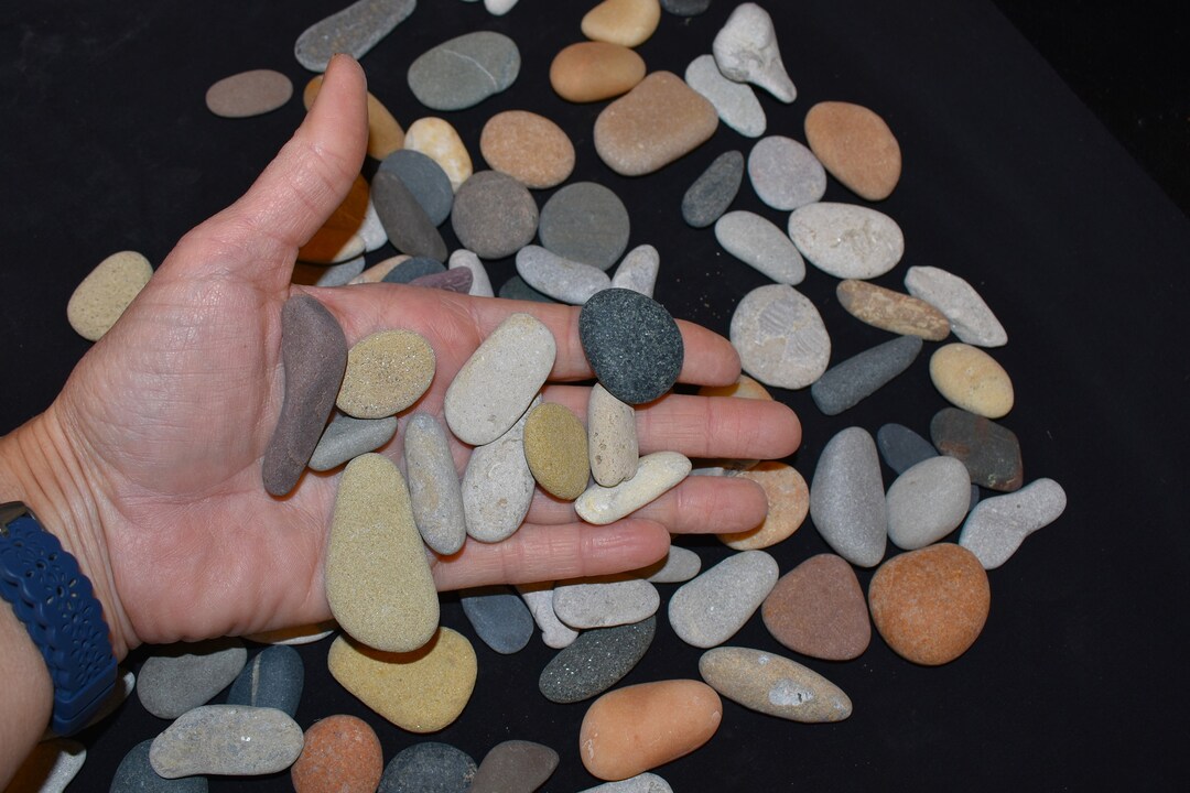 2 Pounds MEDIUM Flat Rocks, Between 1-2 Inches, Round and Skinny ...