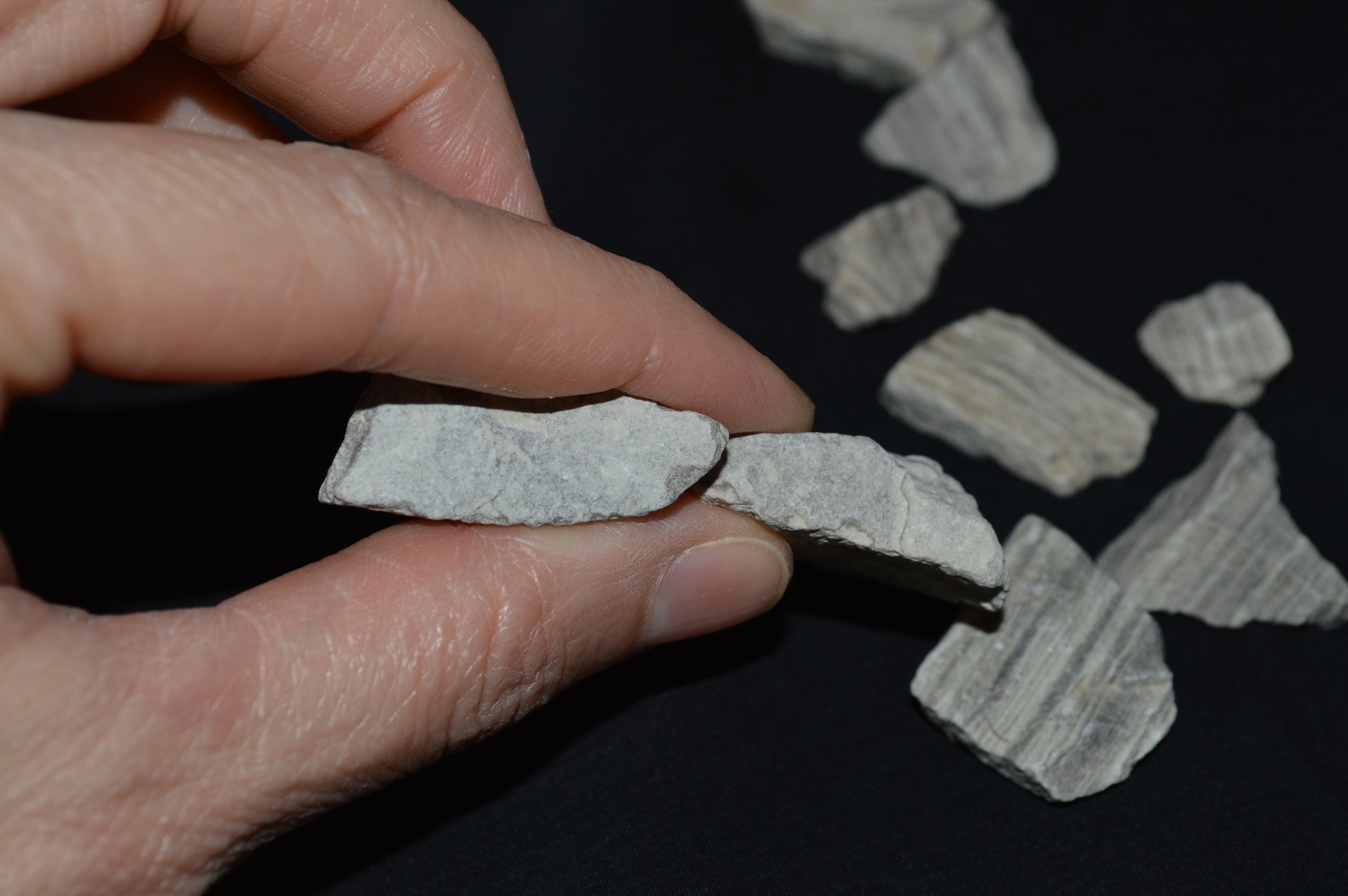 Collection of SMALL Layered Limestone Rocks, Layered Rocks, Under 1 1/4 ...