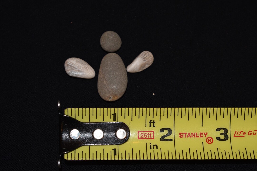 Pebble Angel With Fossil "wings", Rock Angel With Real Horn Coral ...