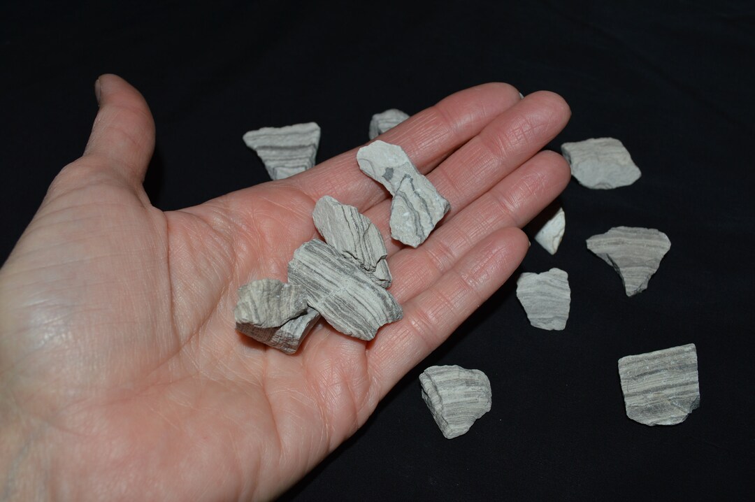 Collection of SMALL Layered Limestone Rocks, Layered Rocks, Under 1 1/4 ...