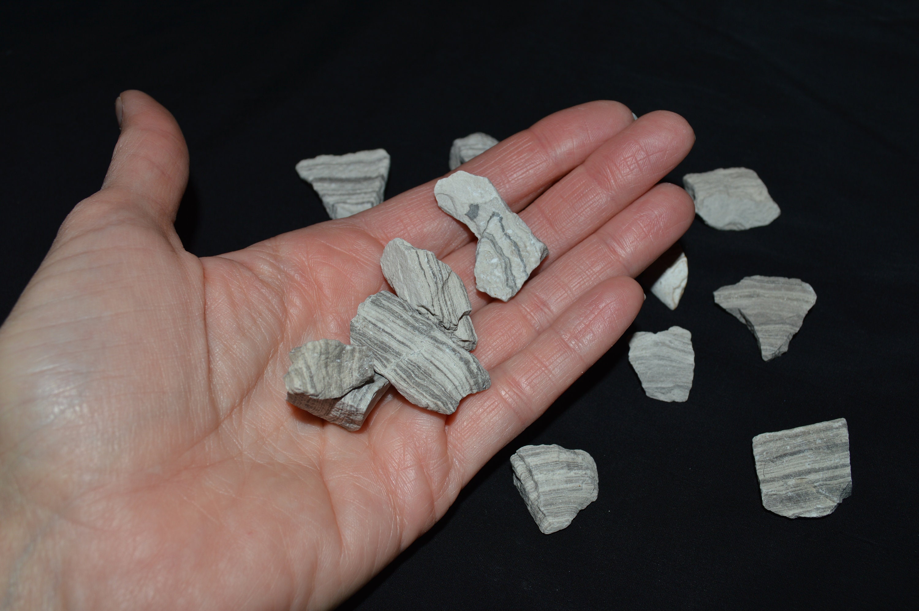 Collection of SMALL Layered Limestone Rocks, Layered Rocks, Under 1 1/4 ...