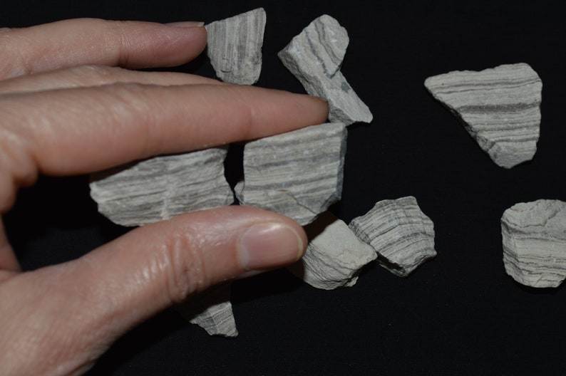 Collection of SMALL Layered Limestone Rocks, Layered Rocks, Under 1 1/4 ...