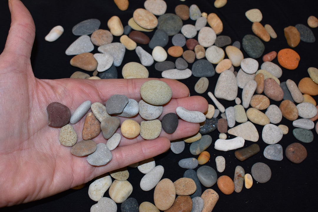 1 Pound SMALL Flat Rocks, Under 1 Inch, Round and Skinny "finger ...