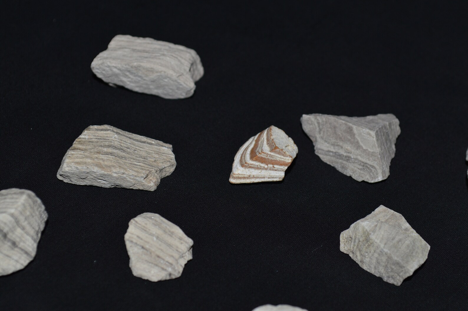 Collection of SMALL Layered Limestone Rocks, Layered Rocks, Under 1 1/4 ...