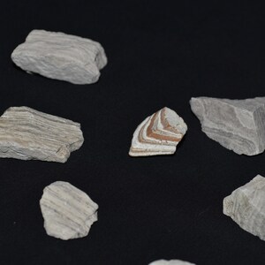Collection of SMALL Layered Limestone Rocks, Layered Rocks, Under 1 1/4 ...