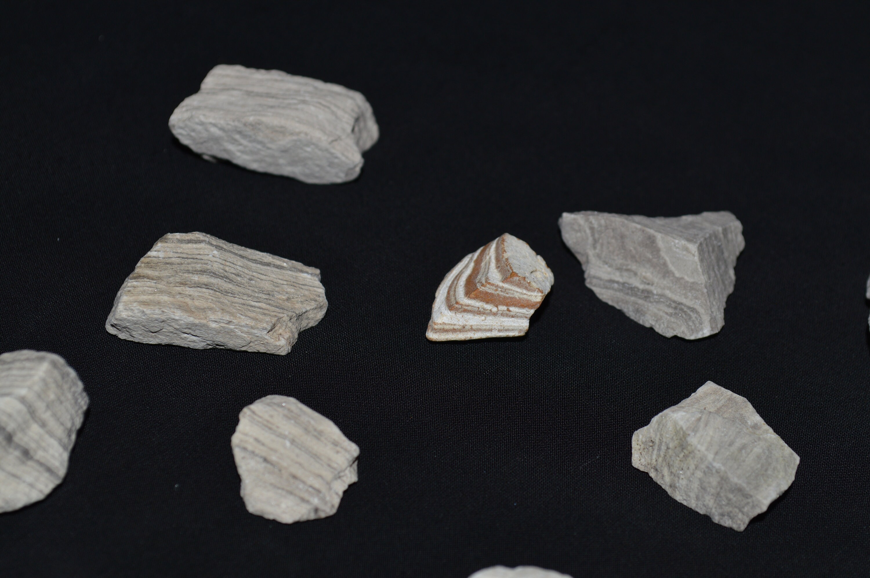 Collection of SMALL Layered Limestone Rocks, Layered Rocks, Under 1 1/4 ...