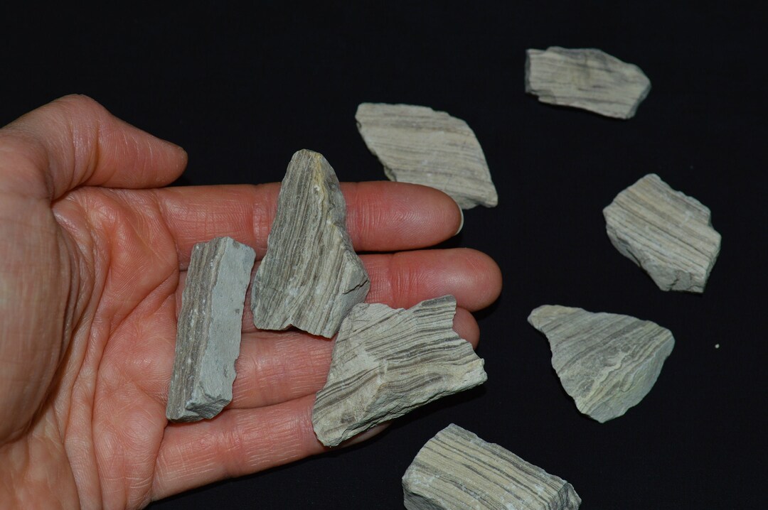 Collection of MEDIUM Layered Limestone Rocks, Layered Rocks, Under 2 ...