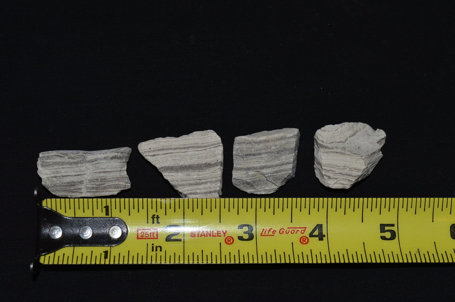 Collection of SMALL Layered Limestone Rocks, Layered Rocks, Under 1 1/4 ...