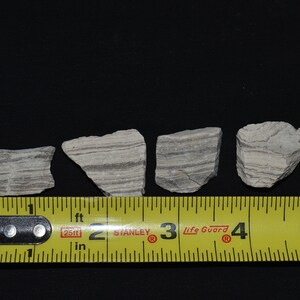 Collection of SMALL Layered Limestone Rocks, Layered Rocks, Under 1 1/4 ...