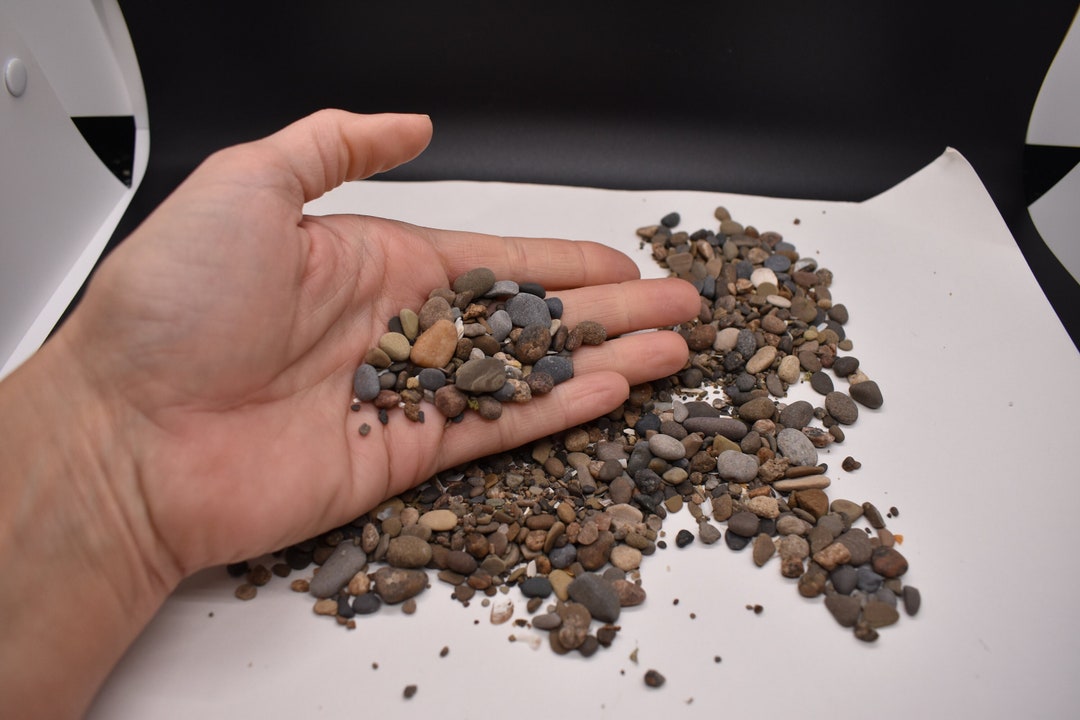 6 Oz Beach Gravel With Sand, Pulverized Shells - Etsy