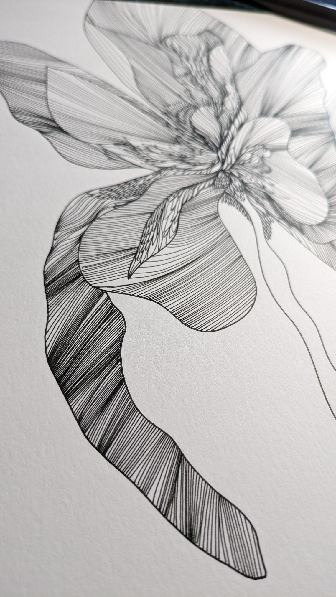 Botanical Abstract Pen Drawing, Original Ink Art, Hand Drawn Fine Art ...