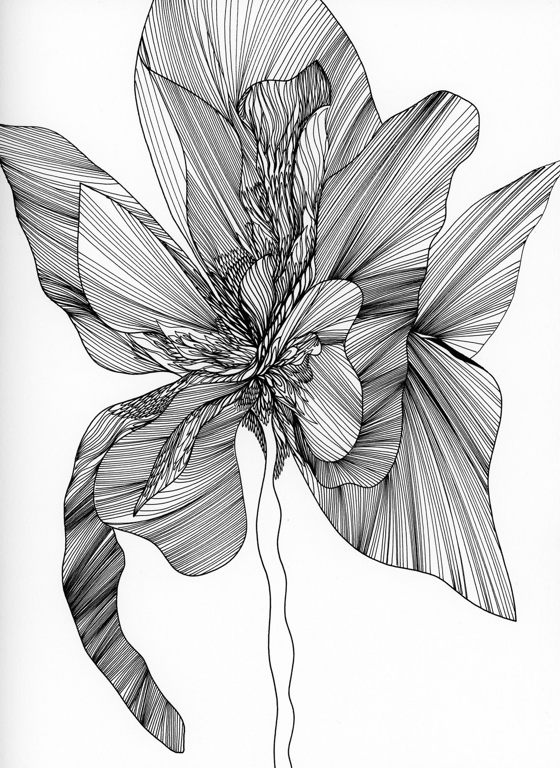 Botanical Abstract Pen Drawing, Original Ink Art, Hand Drawn Fine Art ...