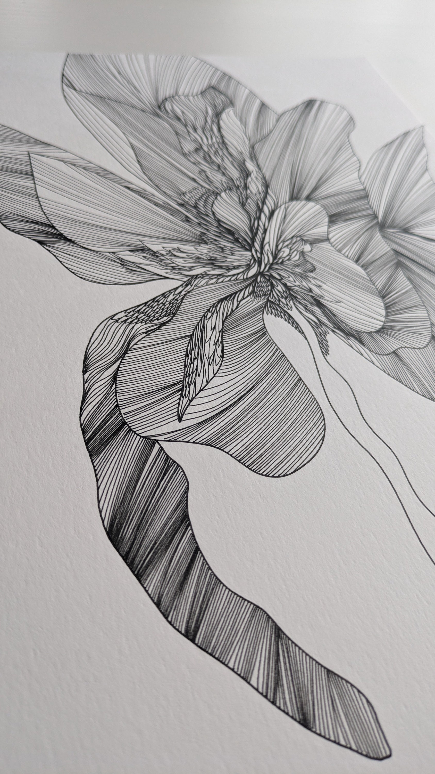 Botanical Abstract Pen Drawing, Original Ink Art, Hand Drawn Fine Art ...