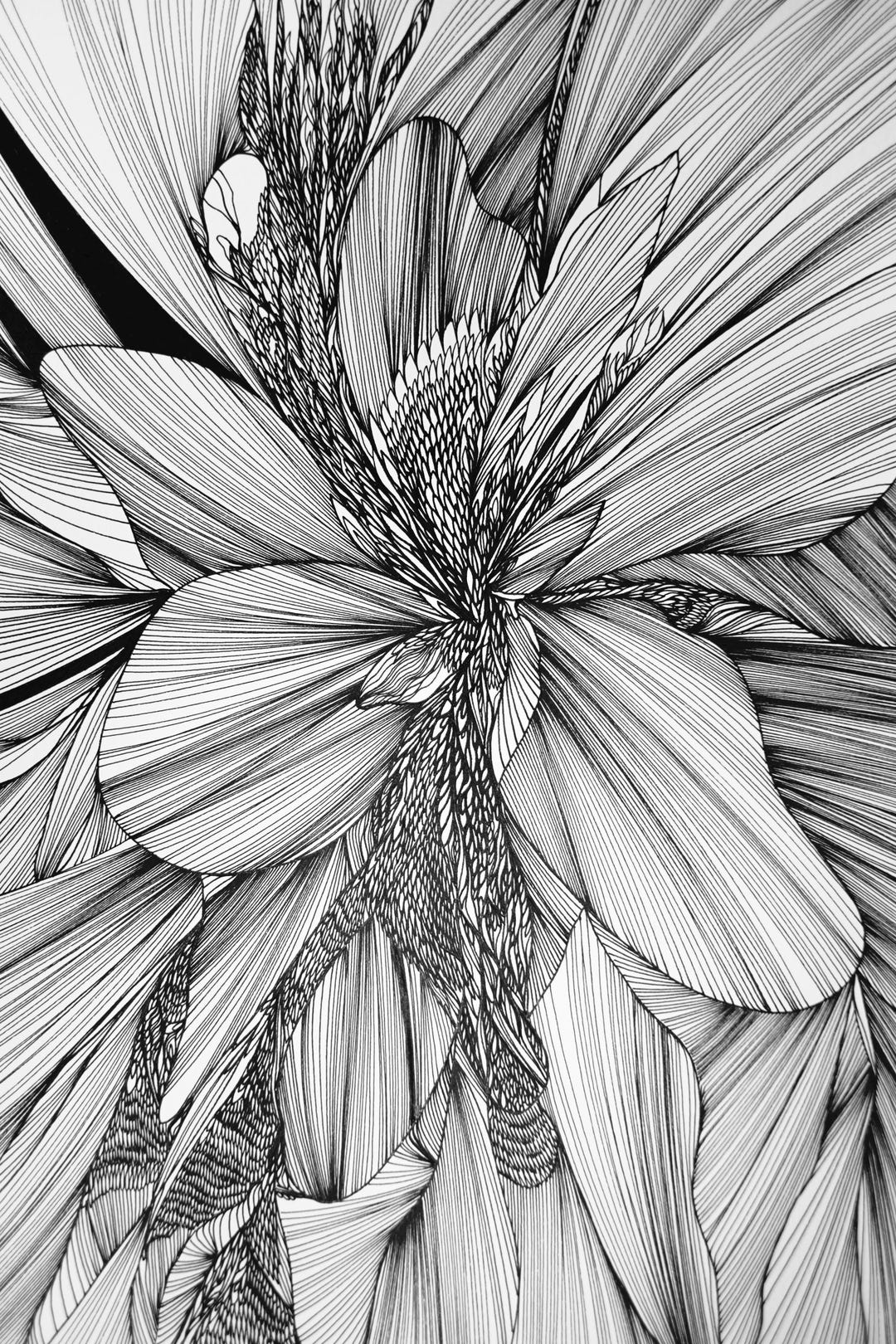 Black and White Abstract Pen and Ink Drawing on Heavy Weighted Bristol ...