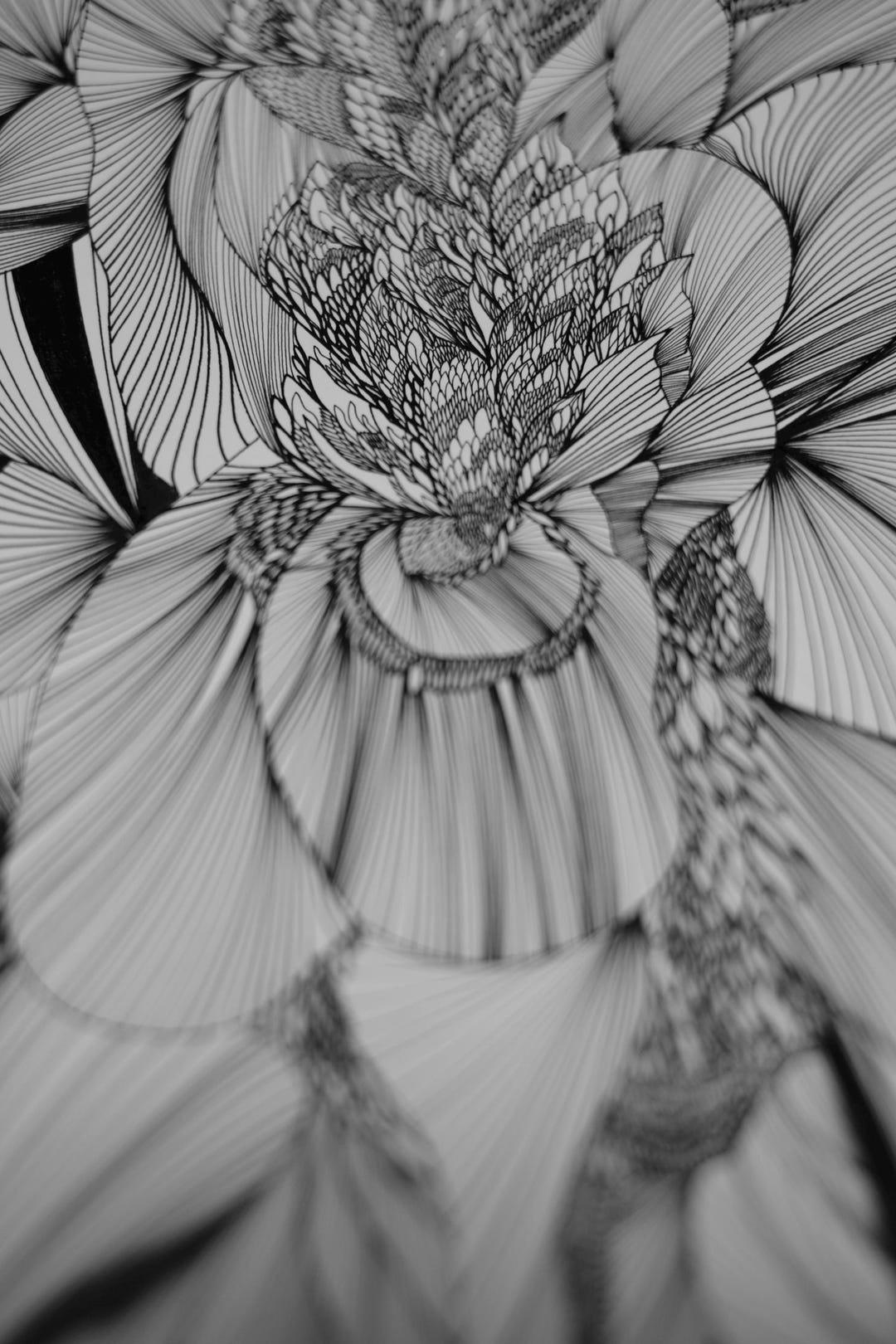 Black and White Abstract Pen and Ink Drawing on Heavy Weighted Bristol ...