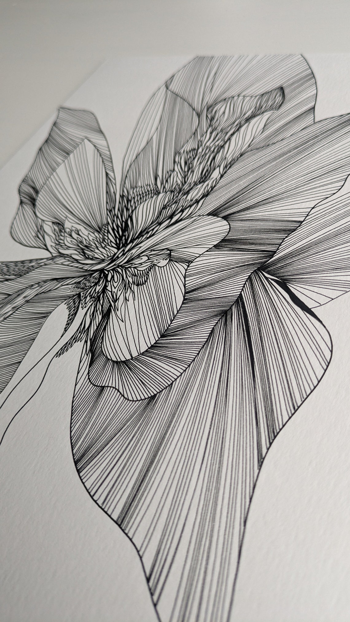 Botanical Abstract Pen Drawing, Original Ink Art, Hand Drawn Fine Art ...