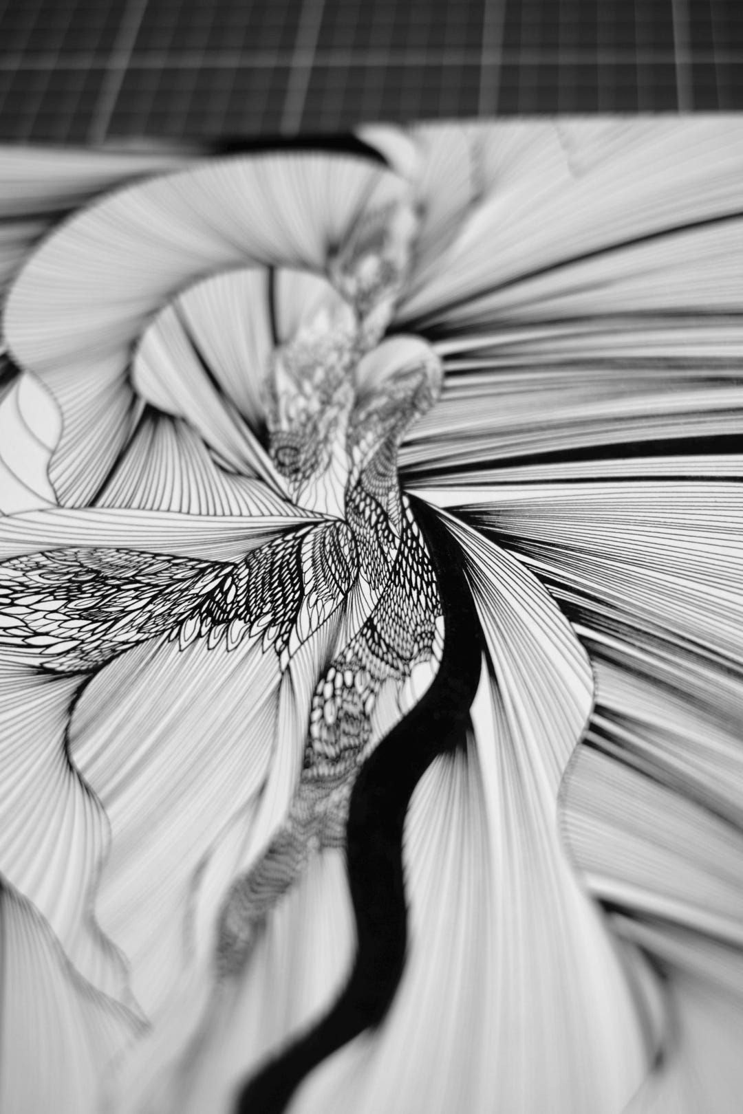 Black and White Abstract Pen and Ink Drawing on Heavy Weighted Bristol ...