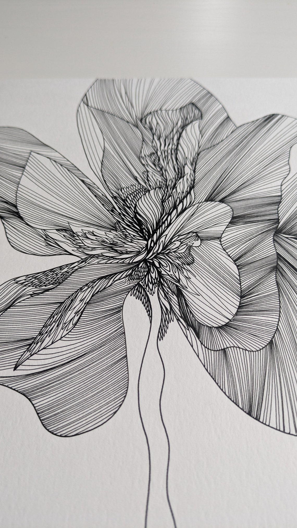 Botanical Abstract Pen Drawing, Original Ink Art, Hand Drawn Fine Art ...