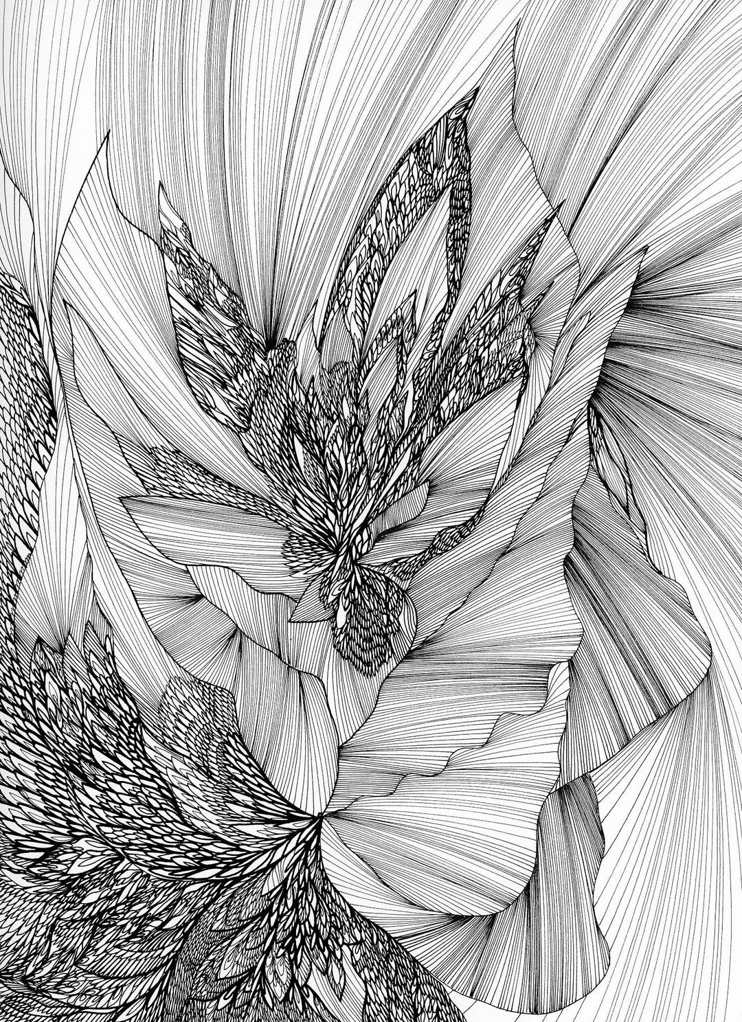 Black and White Abstract Pen and Ink Drawing on Heavy Weighted Bristol ...