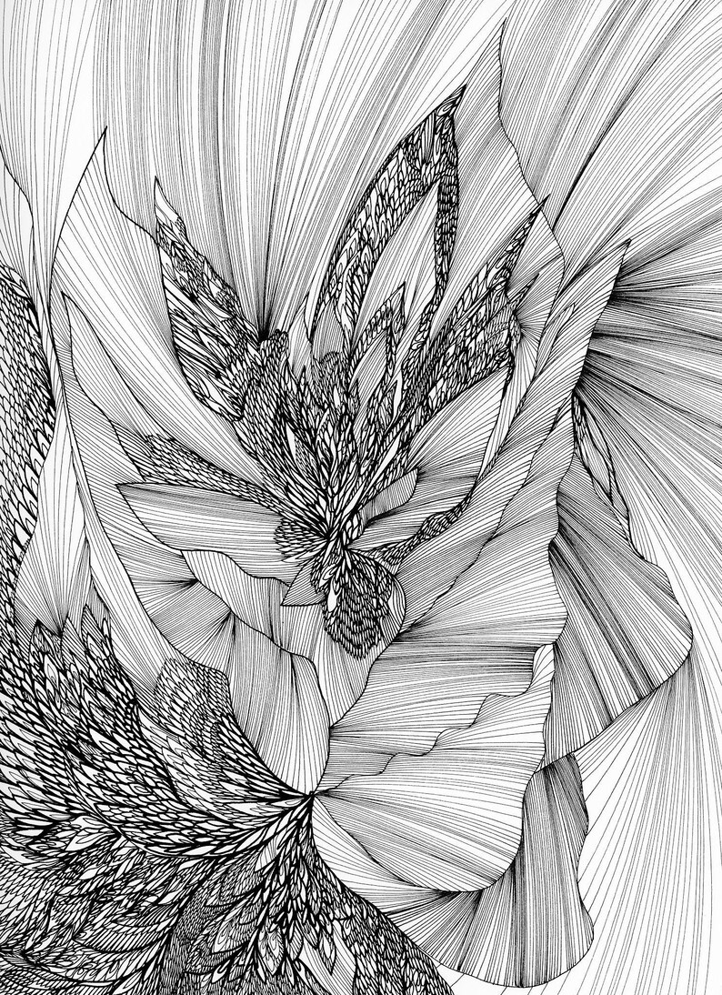 Black and White Abstract Pen and Ink Drawing on Heavy Weighted Bristol ...