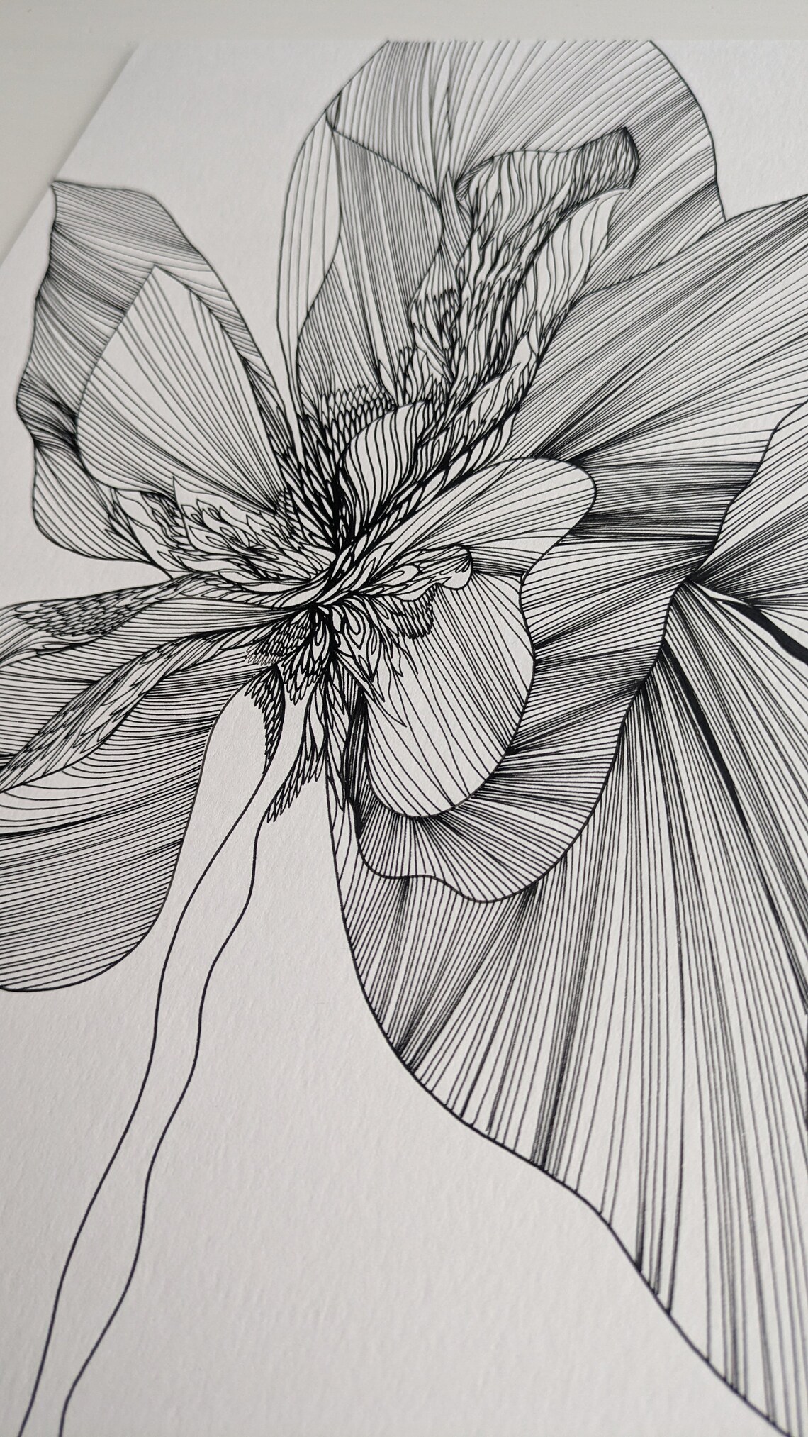 Botanical Abstract Pen Drawing, Original Ink Art, Hand Drawn Fine Art ...