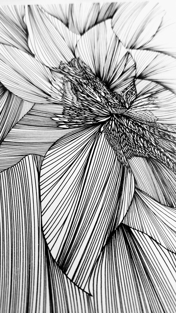 Black And White Abstract Pen Drawing