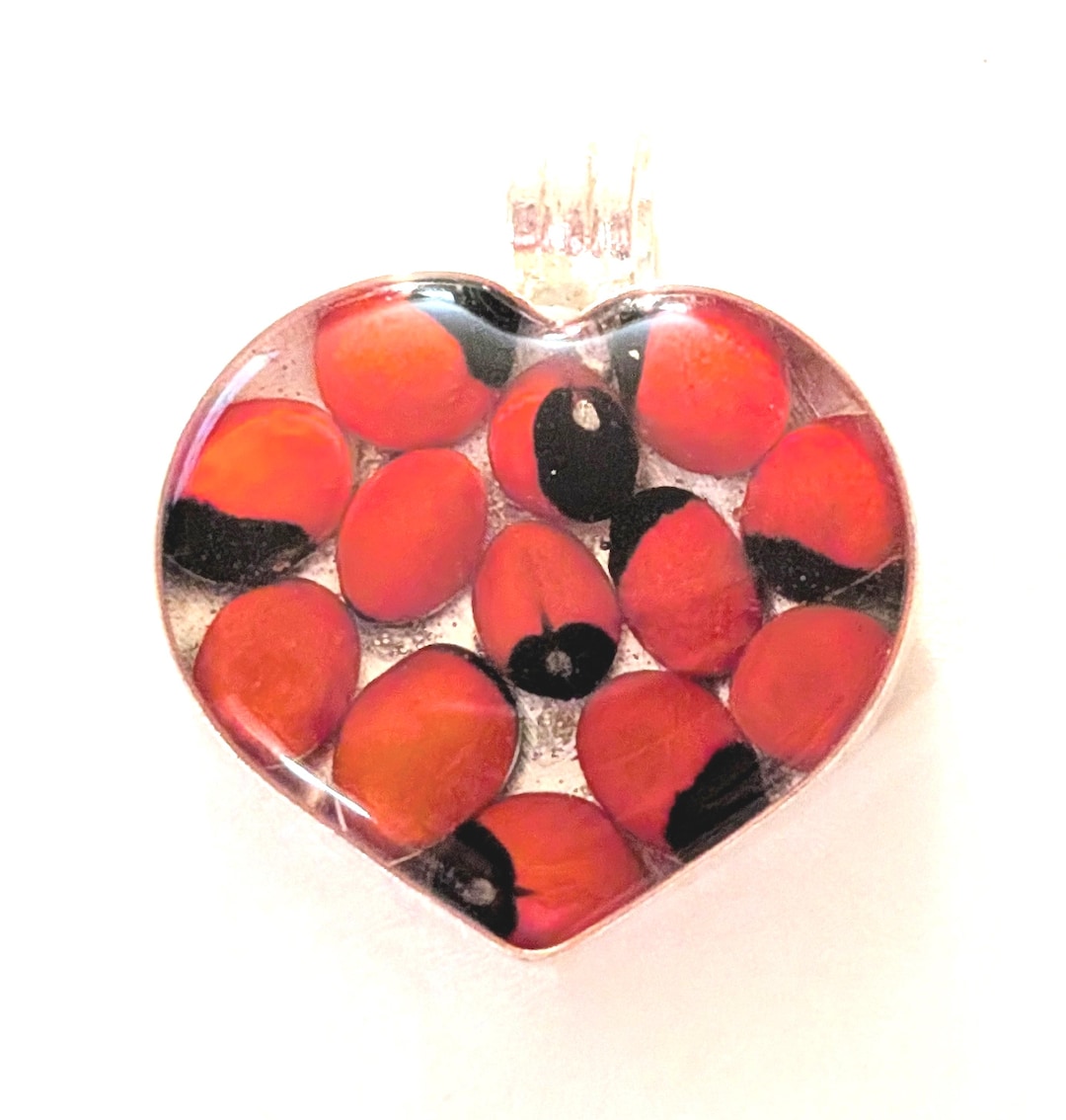 Beautiful Peruvian Red Huayruro Heart Shape Pendant D7-TQTE-H96C - Etsy
