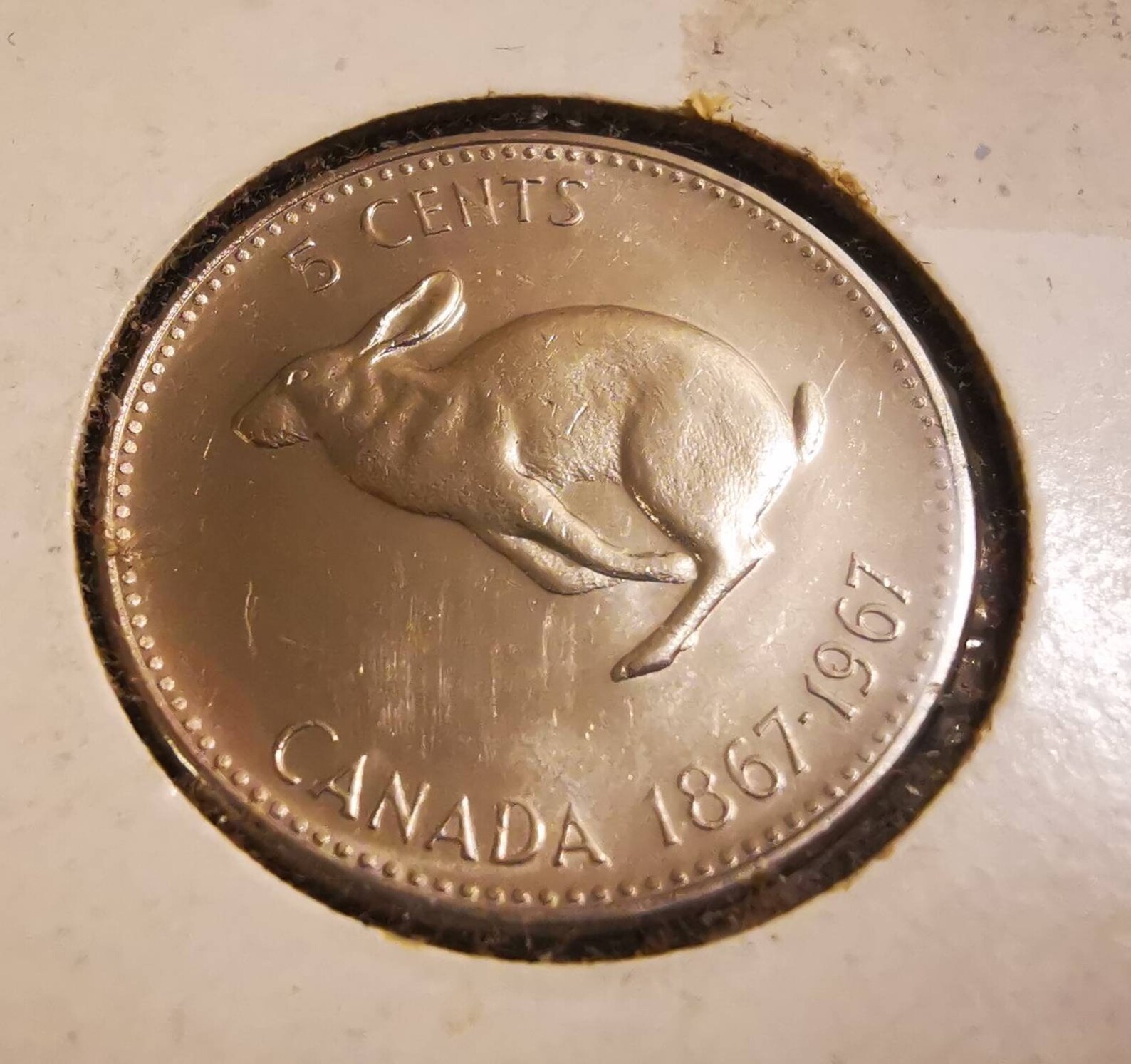 1967 Canadian Rabbit Nickle - Etsy Denmark