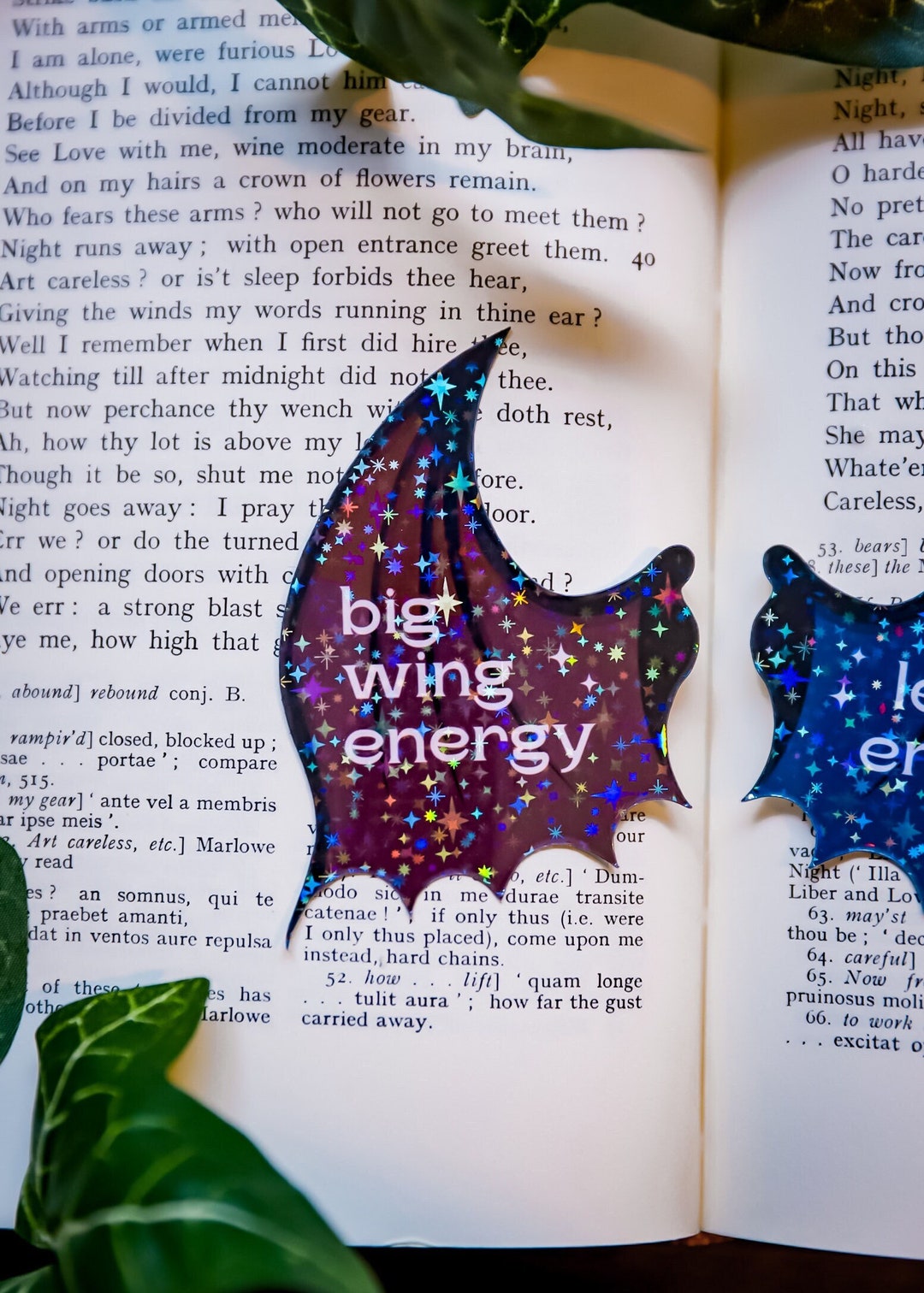 Big Wing Energy Sticker Inspired by Fourth Wing Iron Flame - Etsy