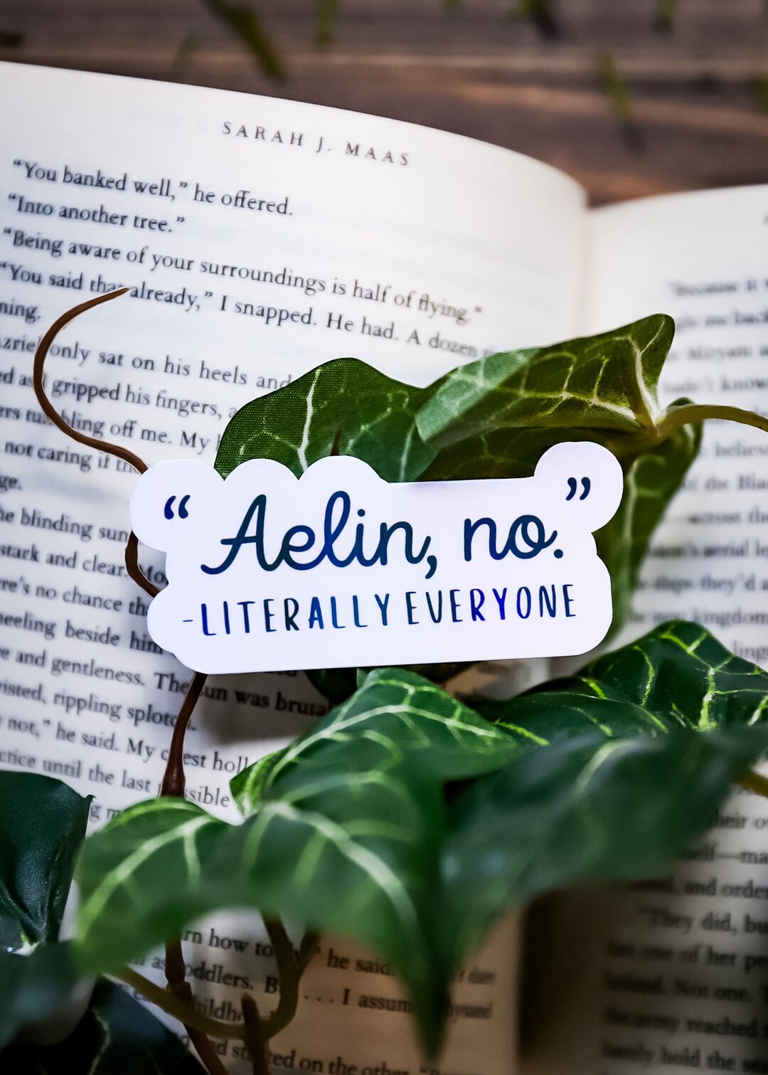 No. Sticker Fae Assassin Queen Series E-reader Accessory - Etsy