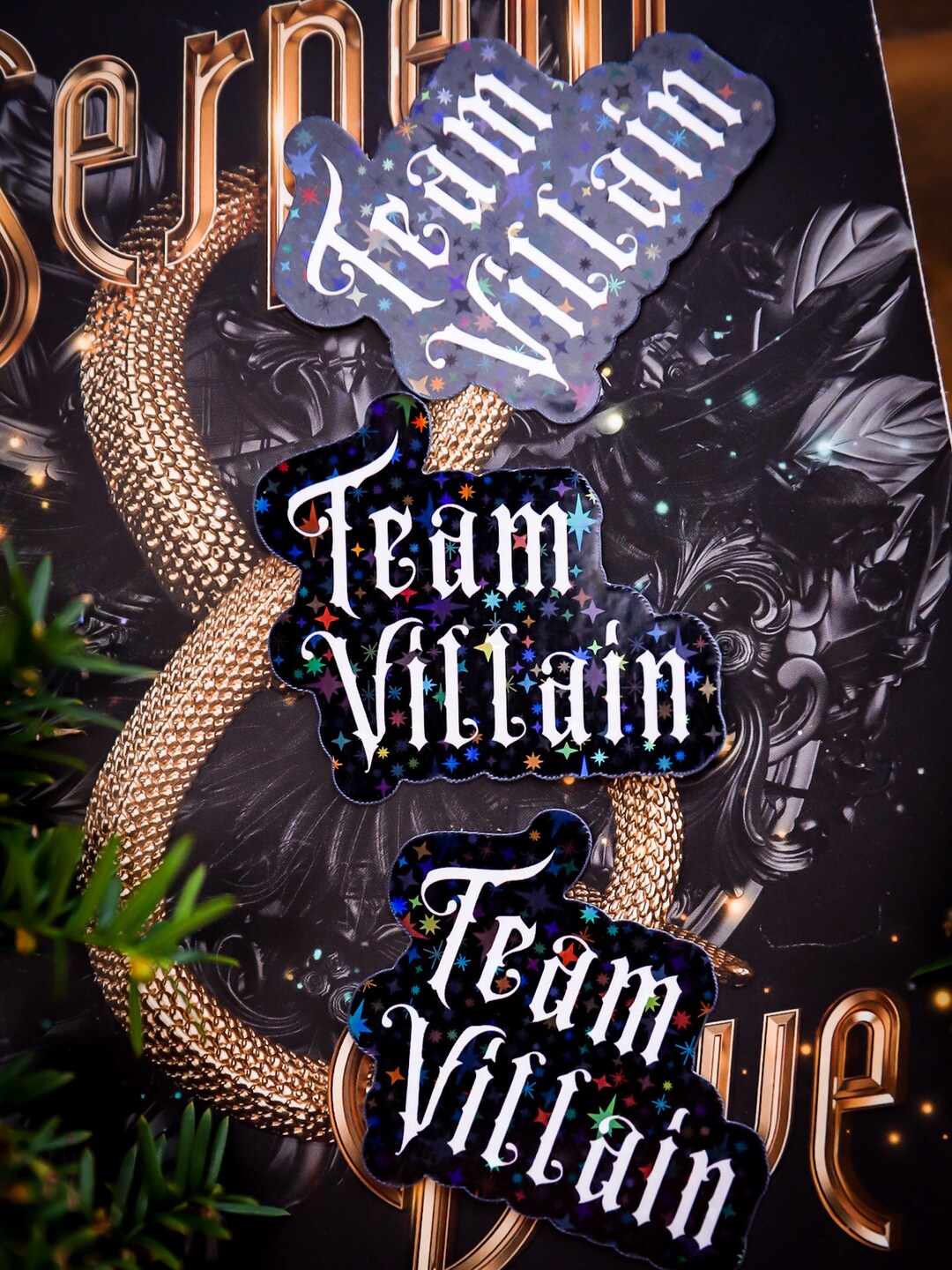 Team Villain Sticker Bookish E-reader Accessory Booktok - Etsy