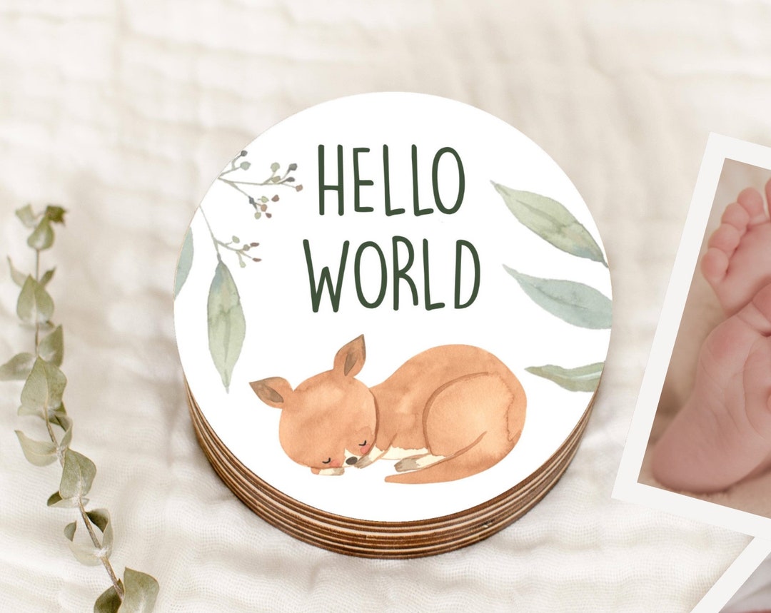 Milestone Discs/australian Animals/animal Babies/jungle Animals/baby ...